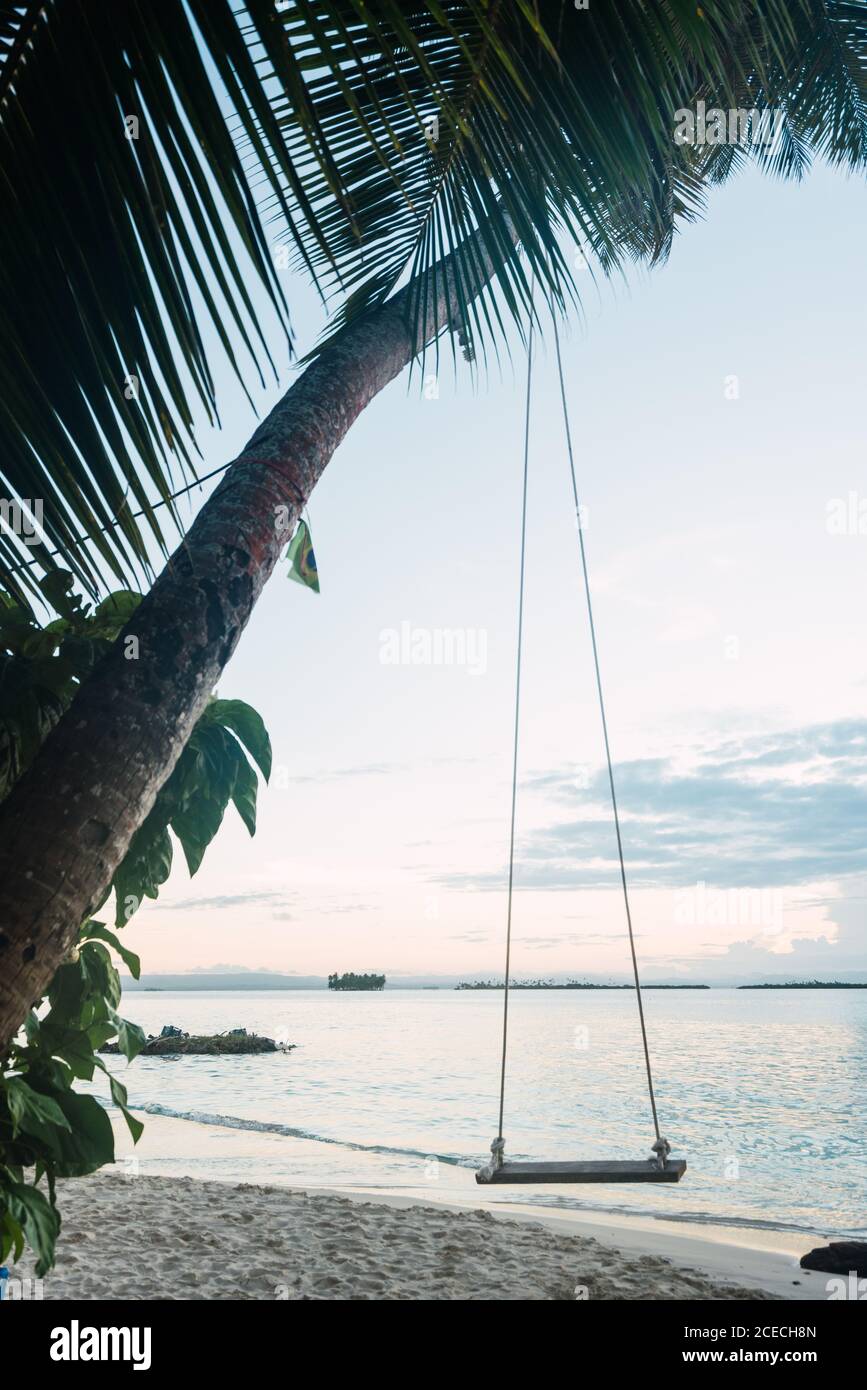 Swing hanging on palm hi-res stock photography and images - Alamy