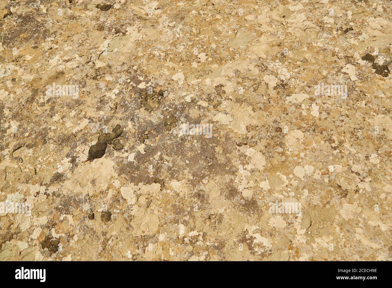 texture of old, cracked, sandy earth background Stock Photo - Alamy