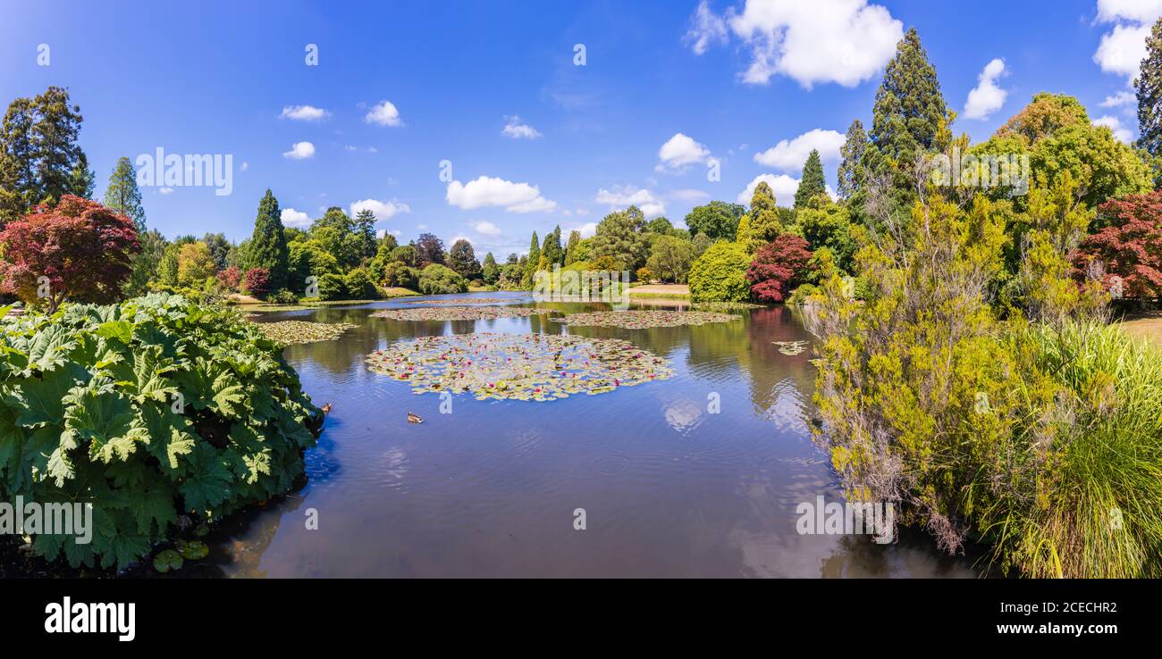 Lancelot capability brown gardens hi-res stock photography and images ...