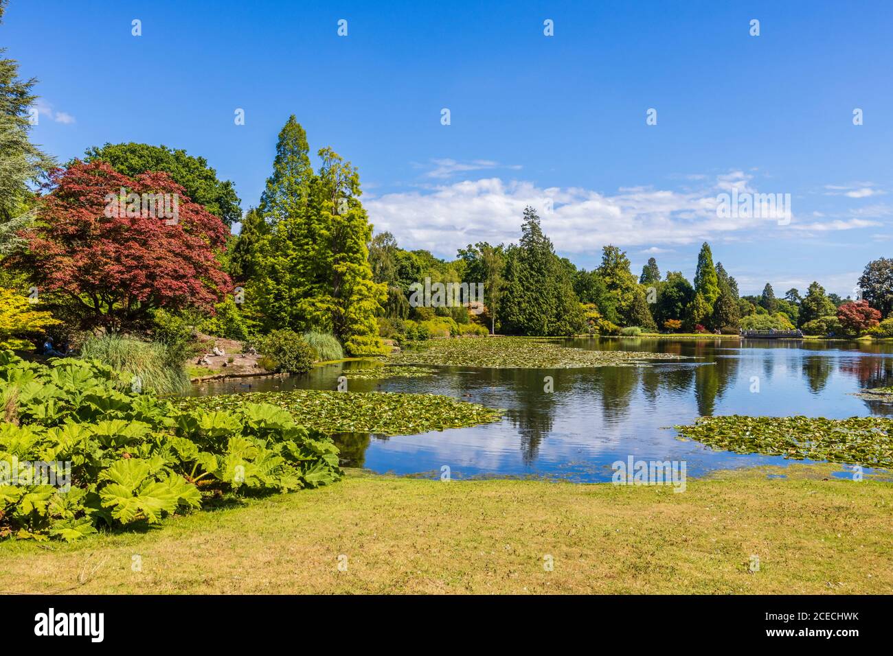 Lancelot capability brown gardens hi-res stock photography and images ...