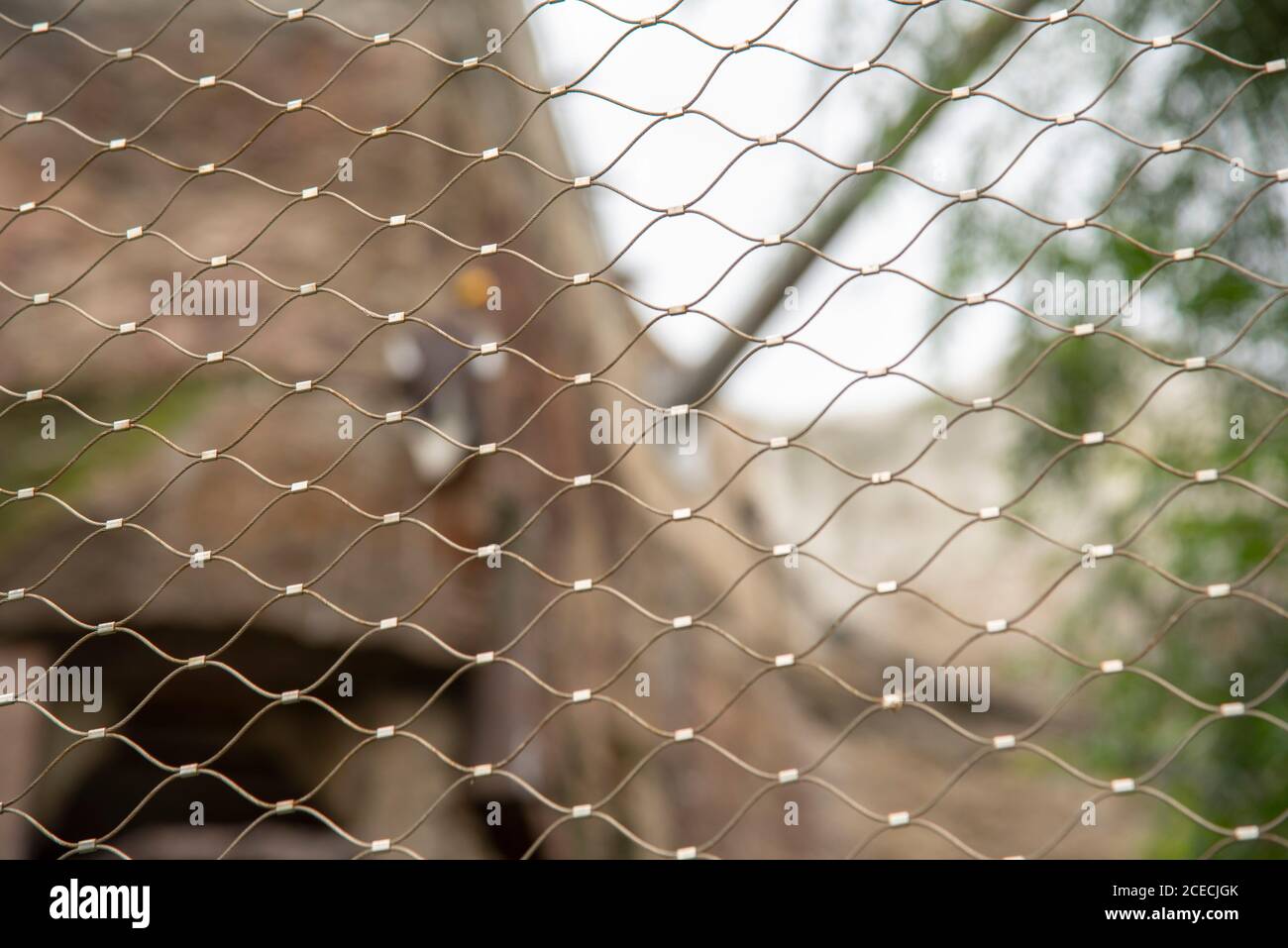 Thin wire mesh hi-res stock photography and images - Alamy