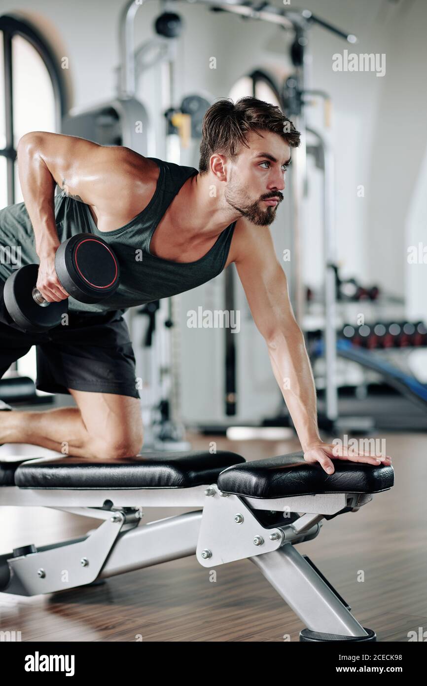 Single Arm Dumbbell Row