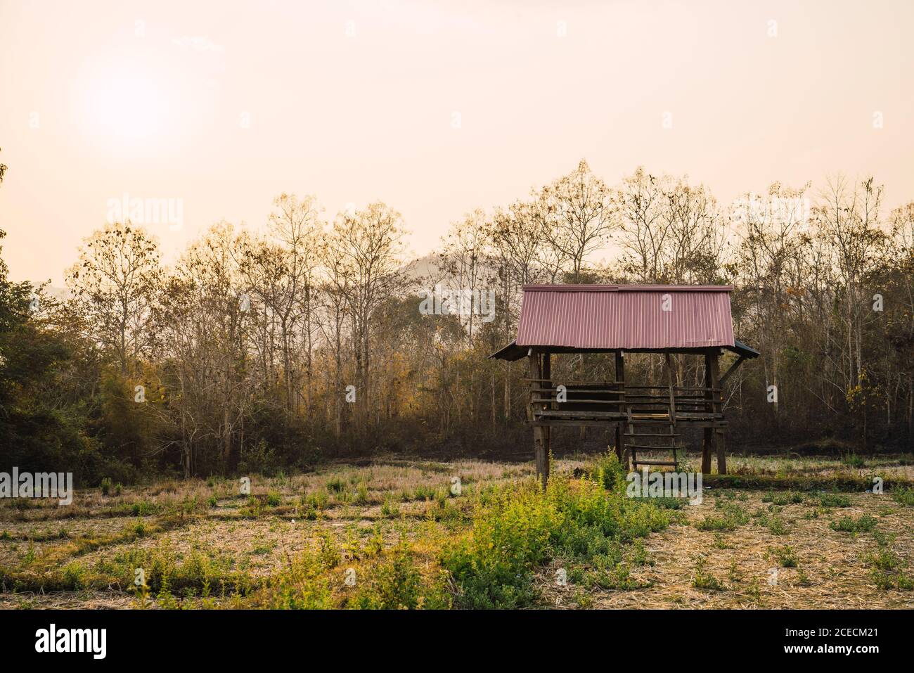 Small wooden hut on meadow Stock Photo - Alamy