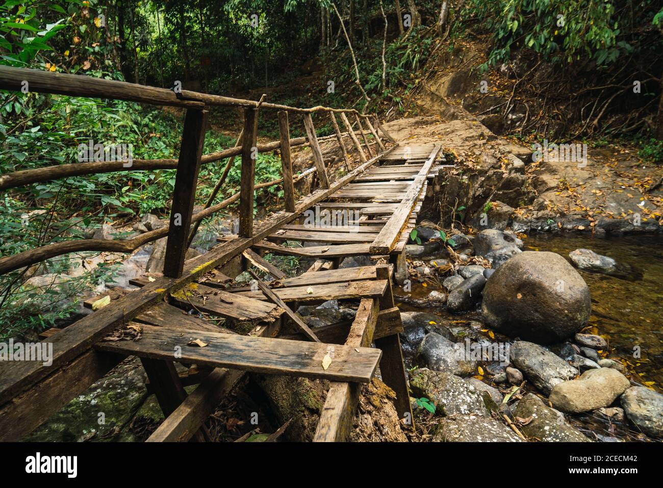 Old grungy wooden bridge in woods Stock Photo - Alamy