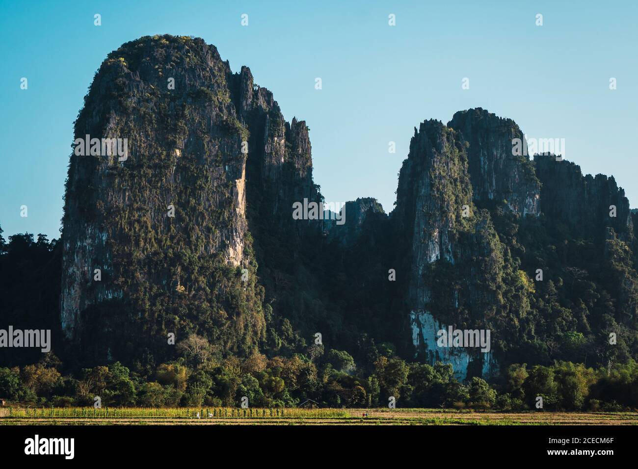 High green peaks Stock Photo - Alamy