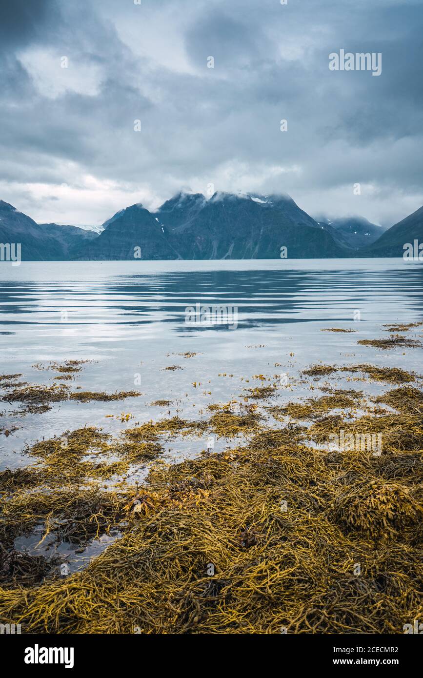 Transparent lake hi-res stock photography and images - Alamy