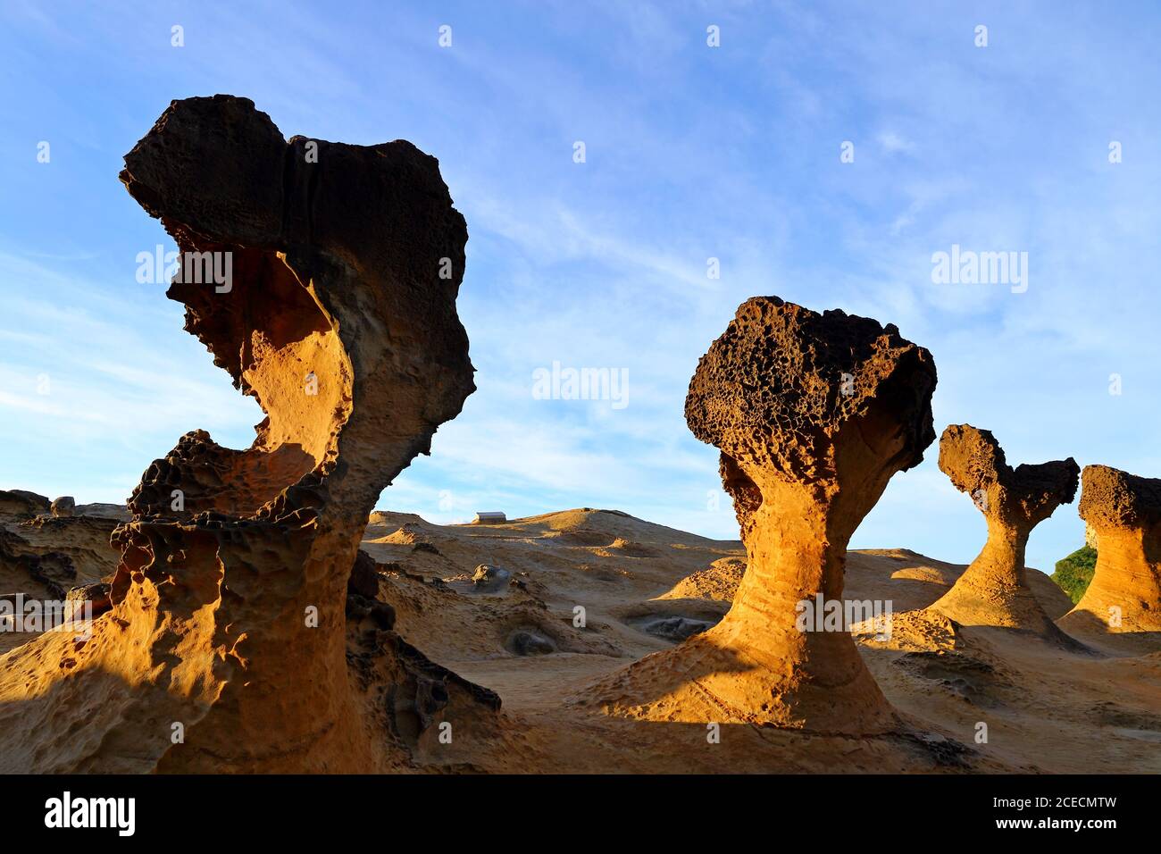 Natural rock formation at Yehliu Geopark, one of most famous wonders in ...