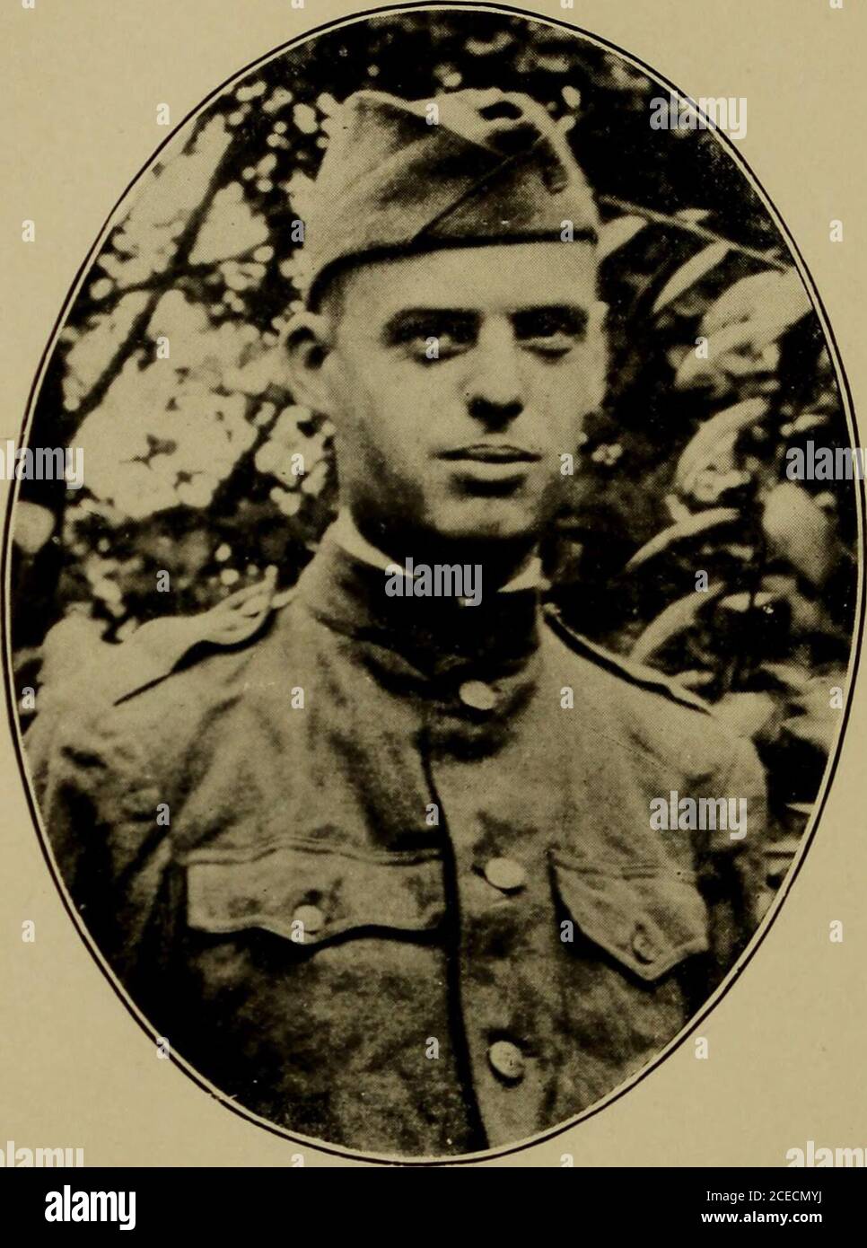 Biester hi-res stock photography and images - Alamy