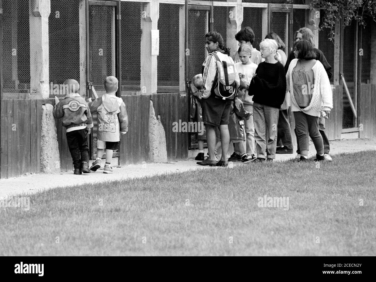 School parties visit to Easton Farm Park in Suffolk. Wickham Market. 10 ...