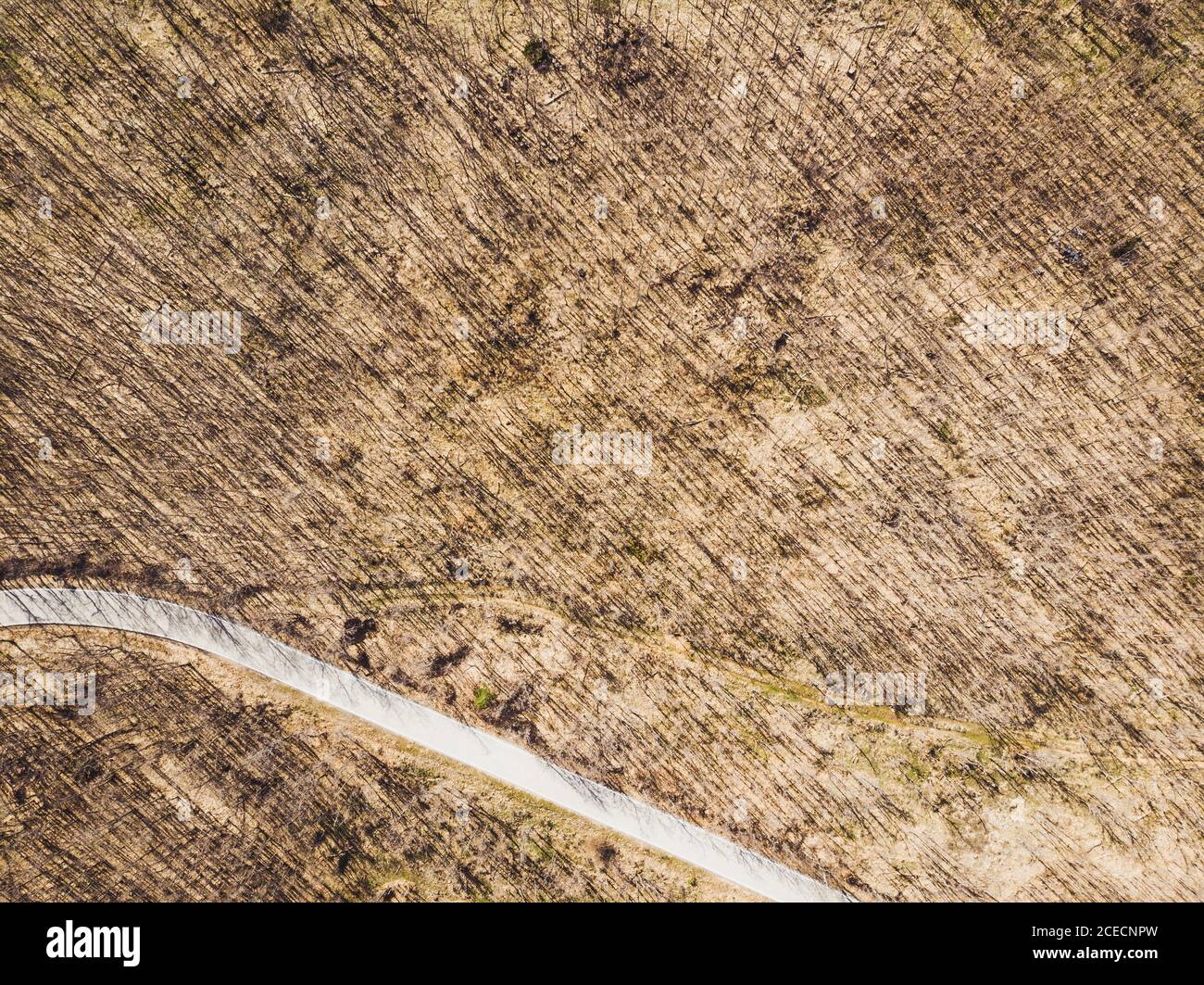 Landscape of highway and hills with bushes Stock Photo - Alamy