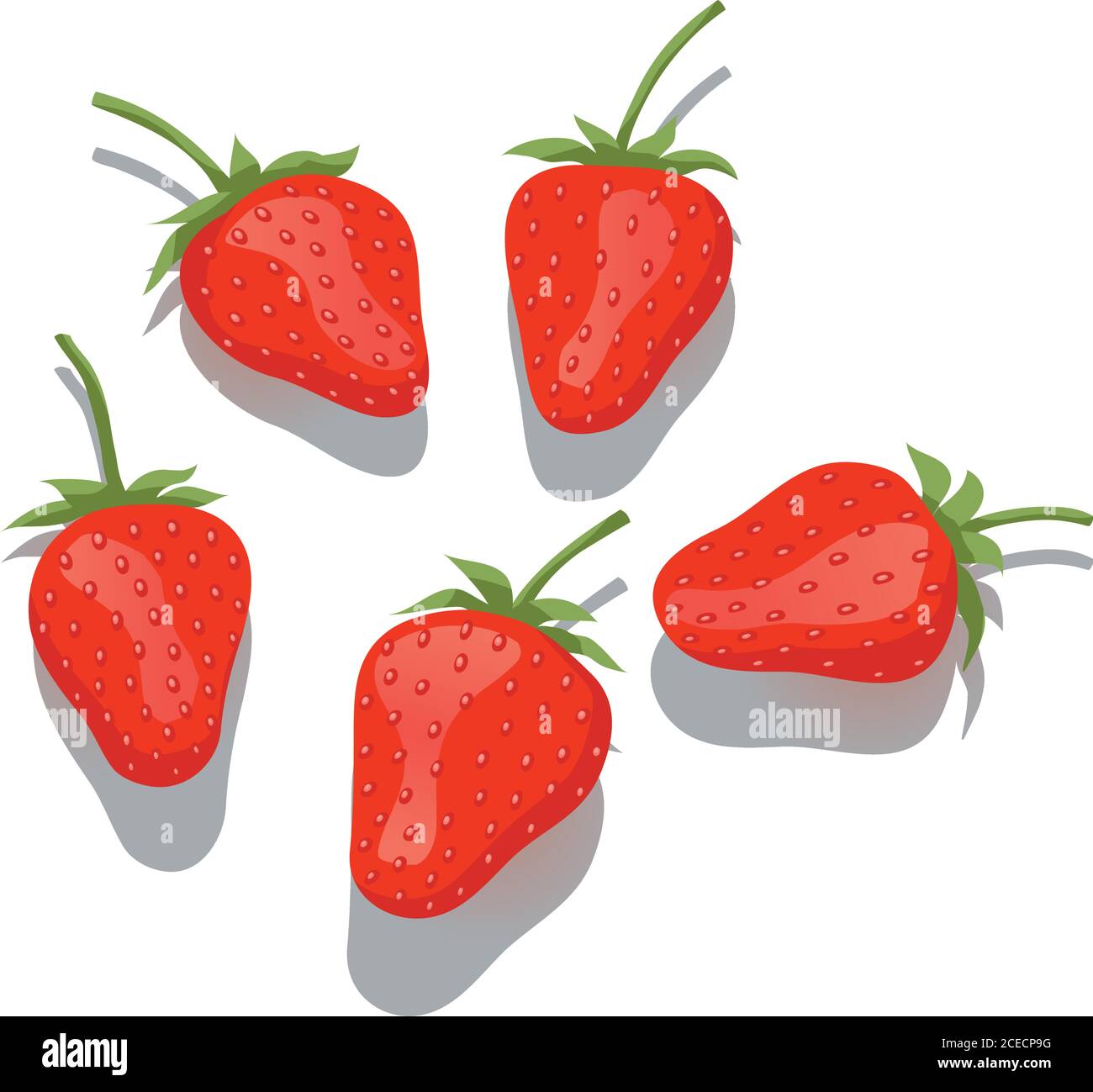 vector illustration with five strawberries Stock Vector Image & Art - Alamy