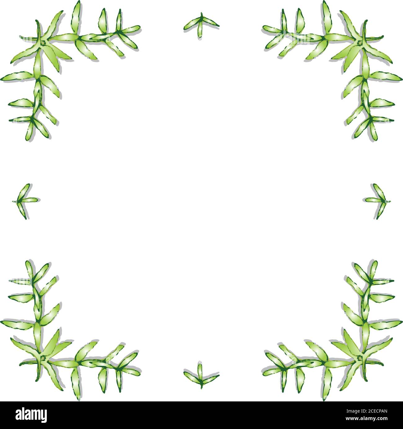 background vegetation frame Stock Vector Image & Art - Alamy