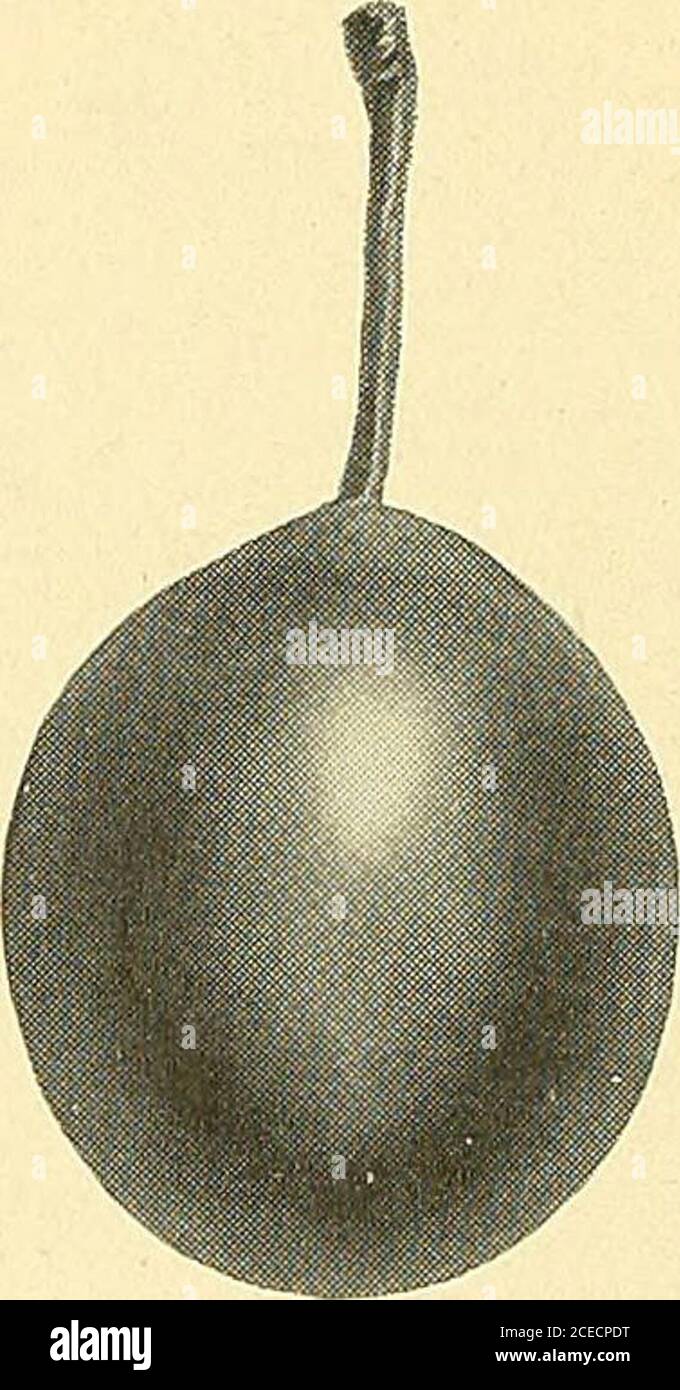 Farleigh damson hi-res stock photography and images - Alamy