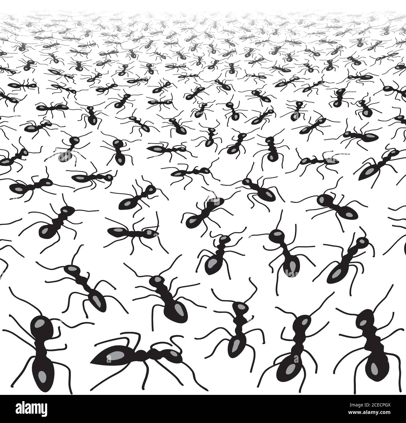 Insect with many legs Stock Vector Images - Alamy