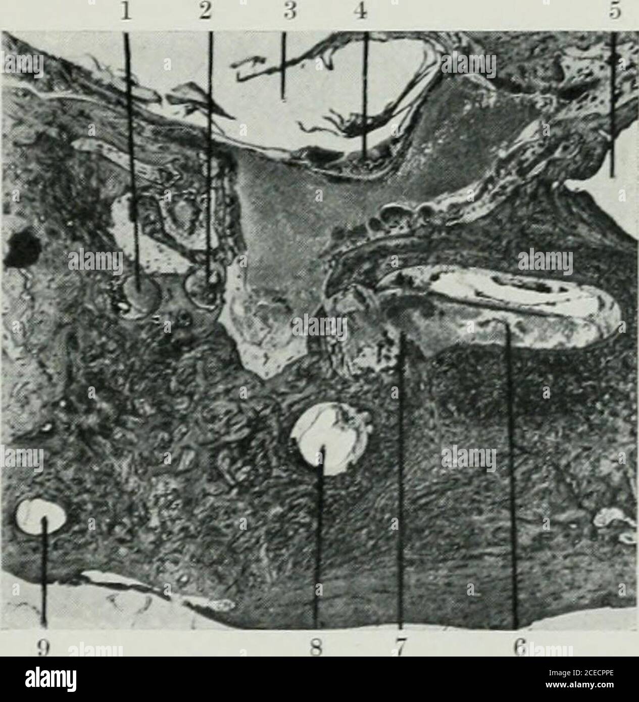 Bo y commune hi-res stock photography and images - Alamy