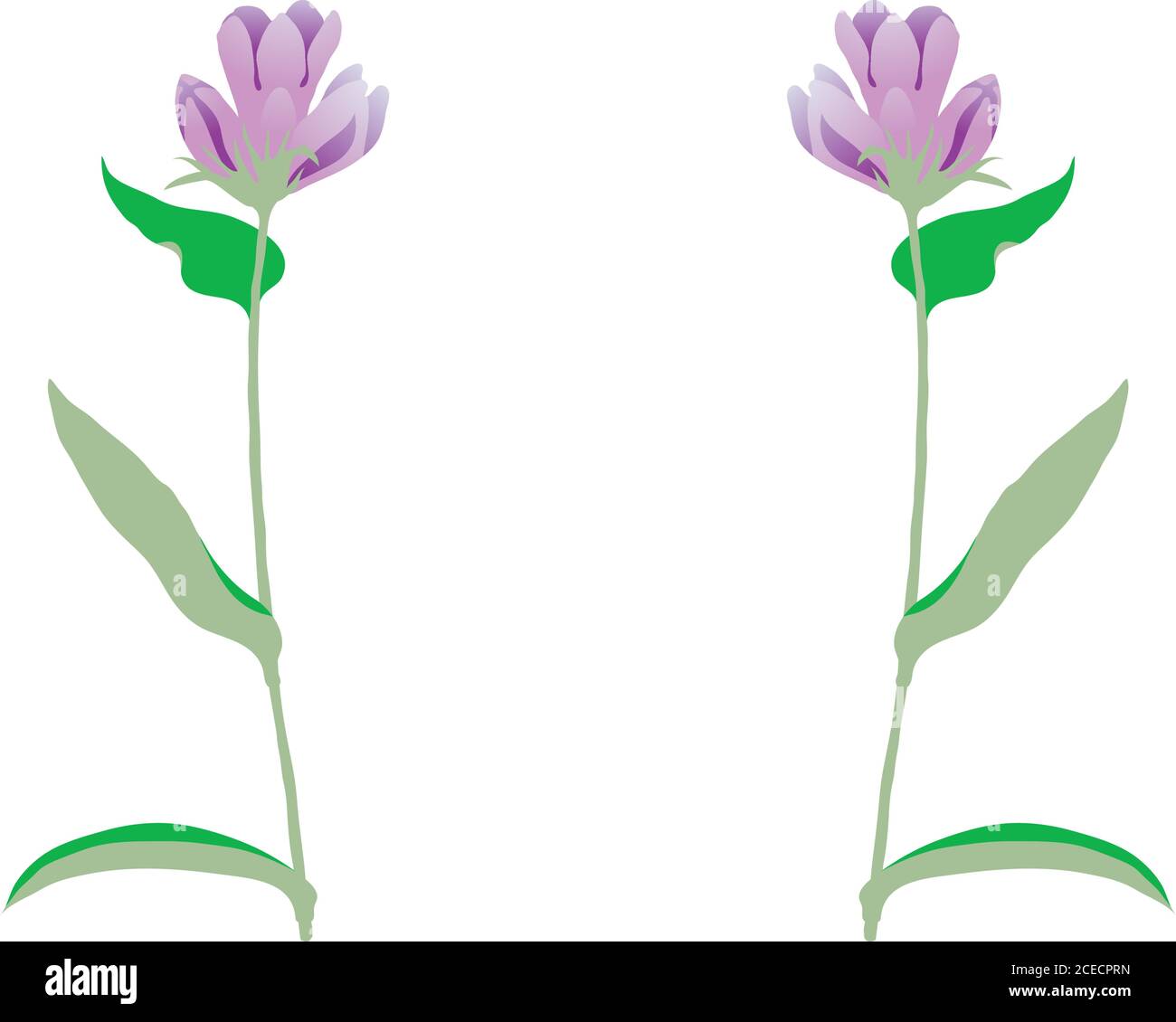 background vegetation frame Stock Vector Image & Art - Alamy