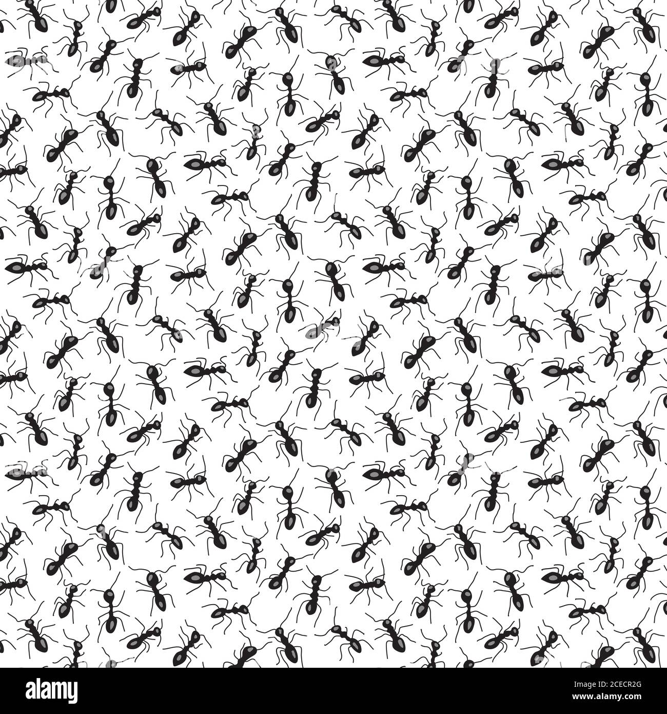 pattern with ants Stock Vector Image & Art - Alamy