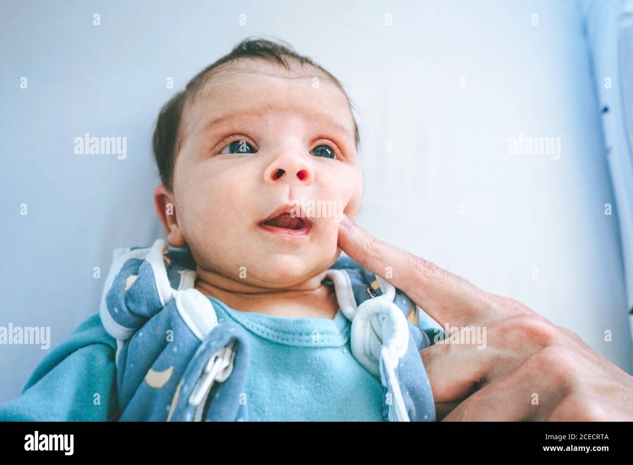 Lovely and curious newborn lying down in her little bed Stock Photo - Alamy