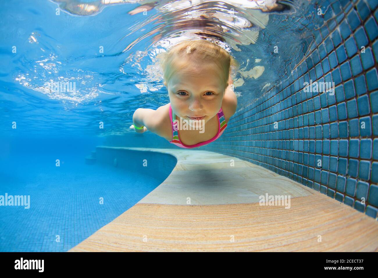 Family jumping in swimming pool hi-res stock photography and images - Alamy