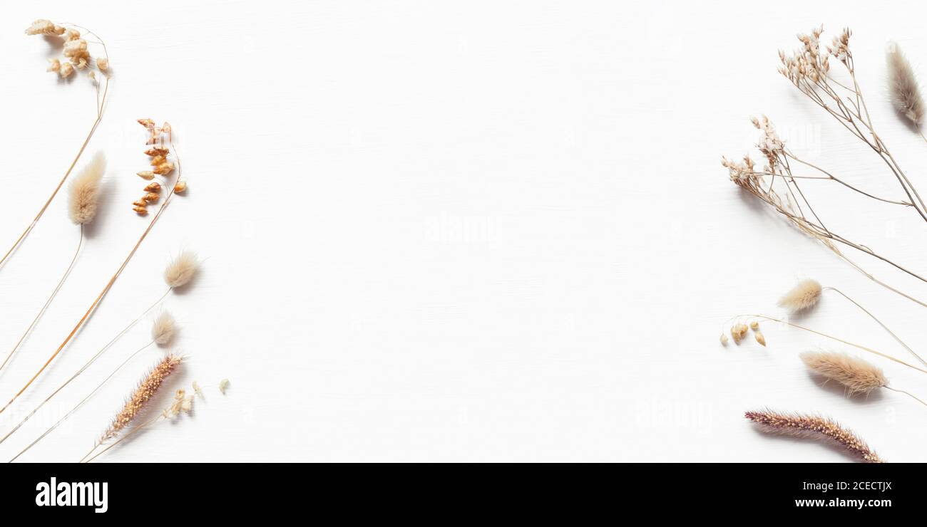 Ear layout hi-res stock photography and images - Alamy