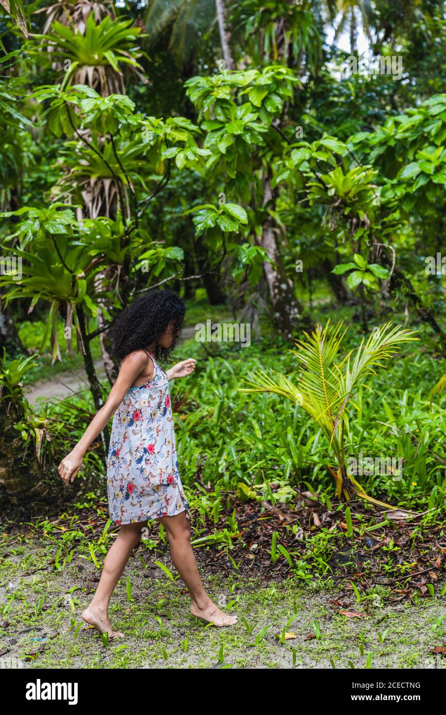 Young woman in dress panama hi-res stock photography and images - Alamy
