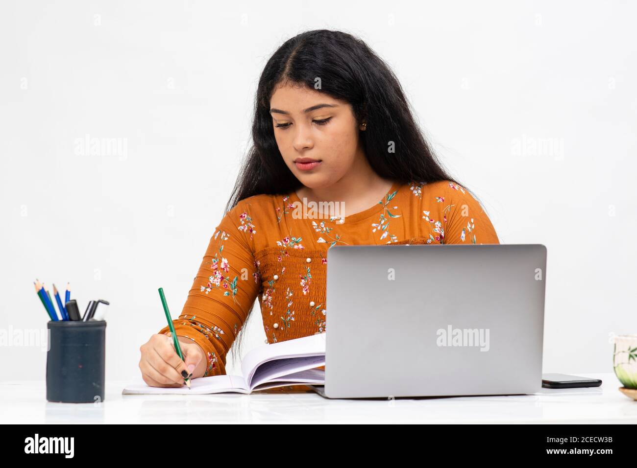Indian female student studying home hi-res stock photography and images ...