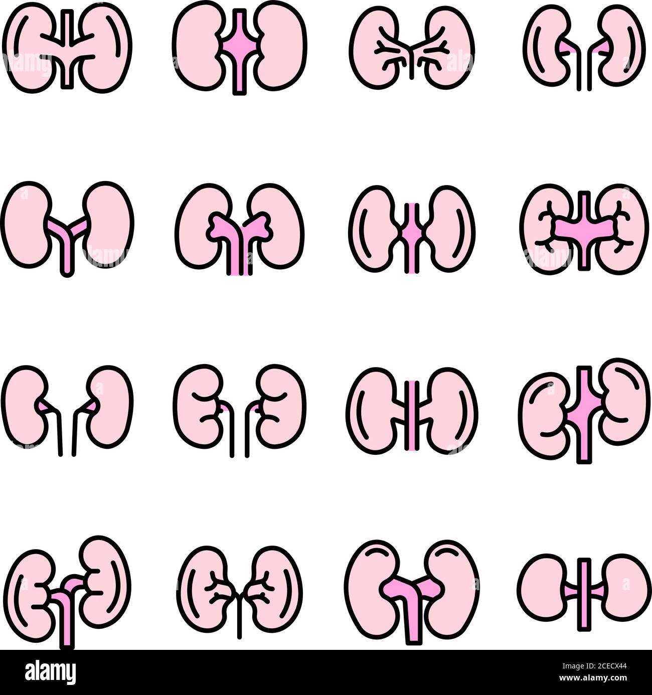 Kidney icons set vector flat Stock Vector Image & Art - Alamy