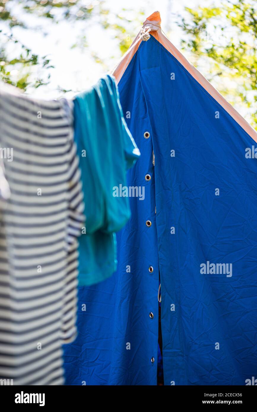 Blue camp tent on the green grass on the trees background. Wet clothes ...