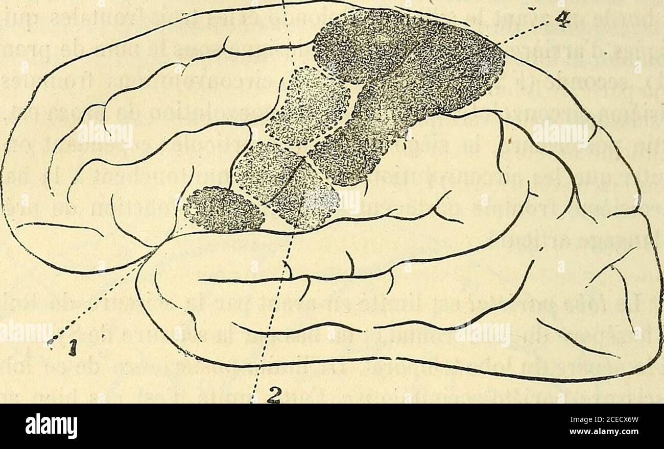 . Manuel d'histologie experimentale. onnées de la physiologie ...