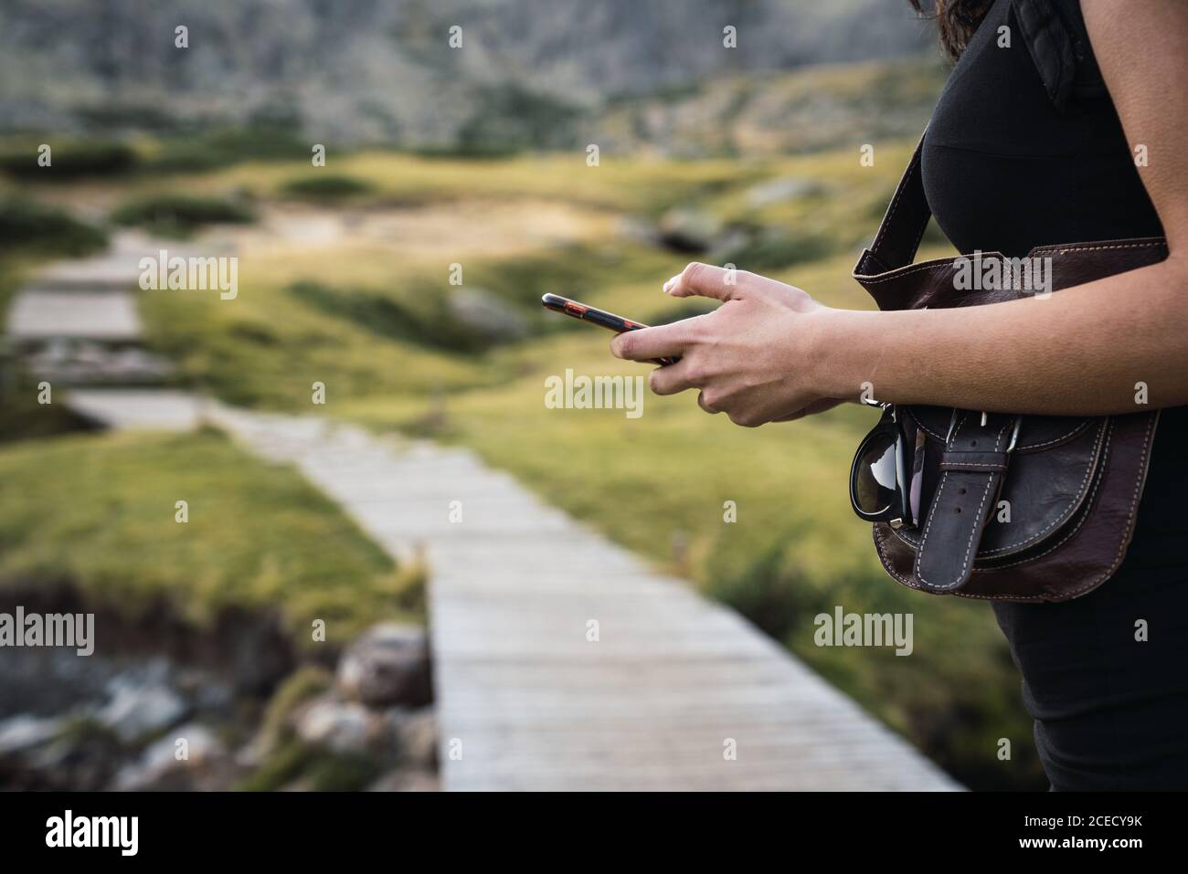 Using smartphone nature hi-res stock photography and images - Alamy