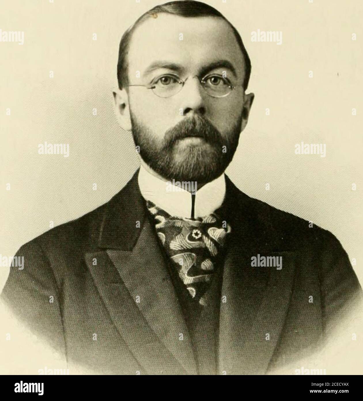 . New York state's prominent and progressive men Stock Photo - Alamy