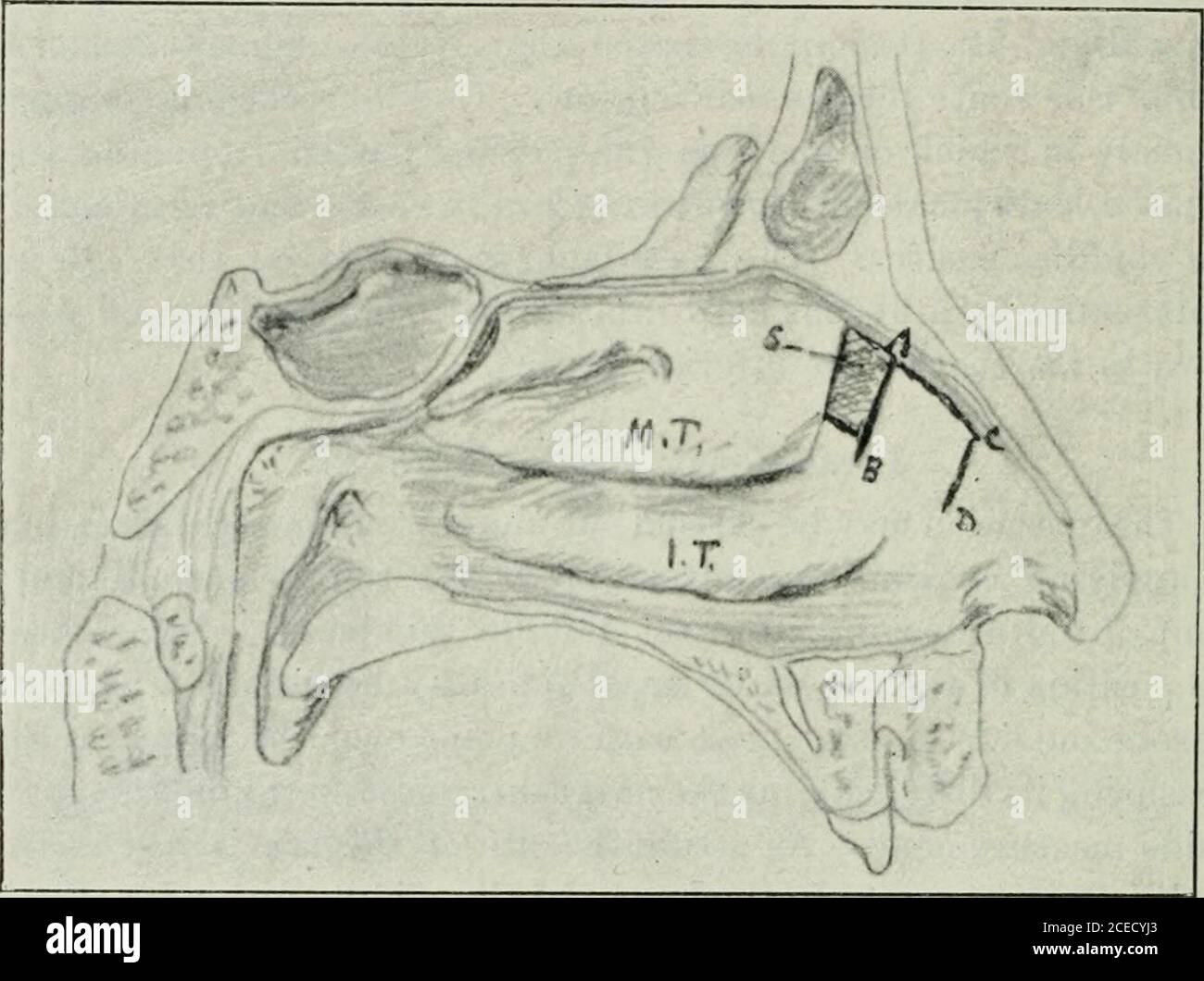 Curved torus hi-res stock photography and images - Alamy