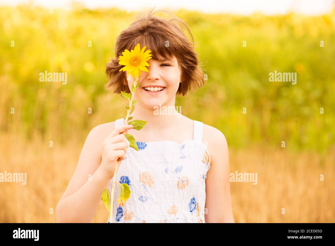 Joyful Girl Smiling And Covering Face With Sunflower In Summer Field