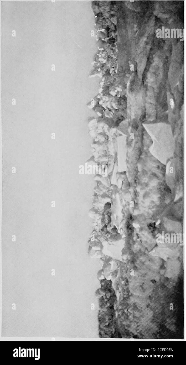 Karluk expedition hi-res stock photography and images - Alamy