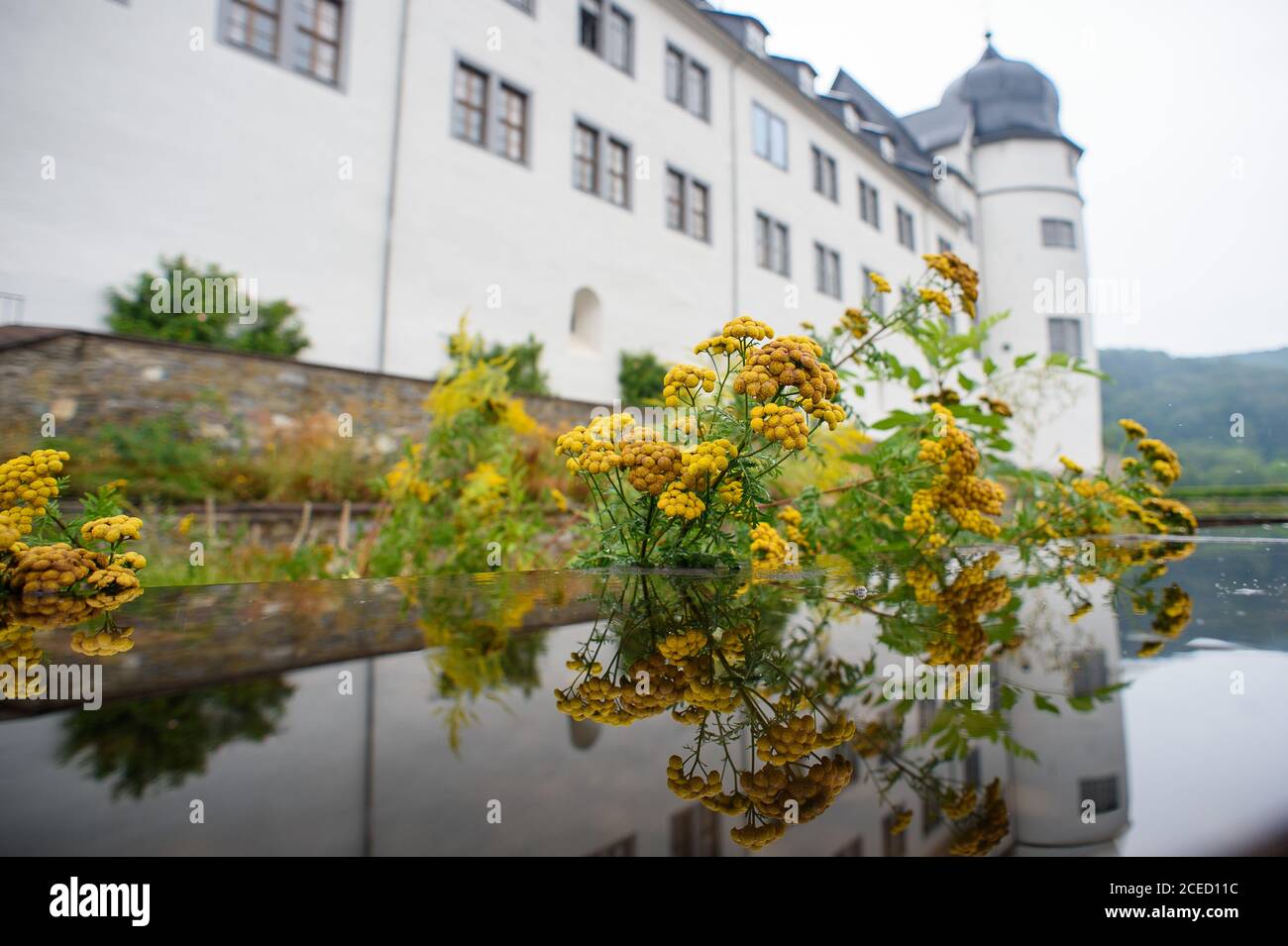 Part of a garden in rain hi-res stock photography and images - Alamy
