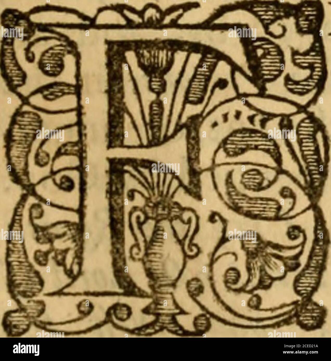 Jpeak hi-res stock photography and images - Alamy