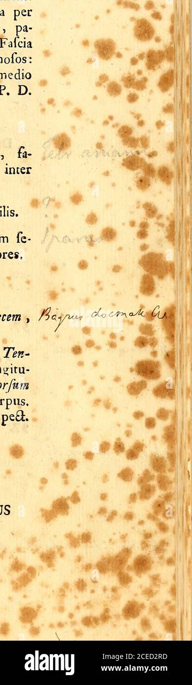 Ultra caro hi-res stock photography and images - Alamy