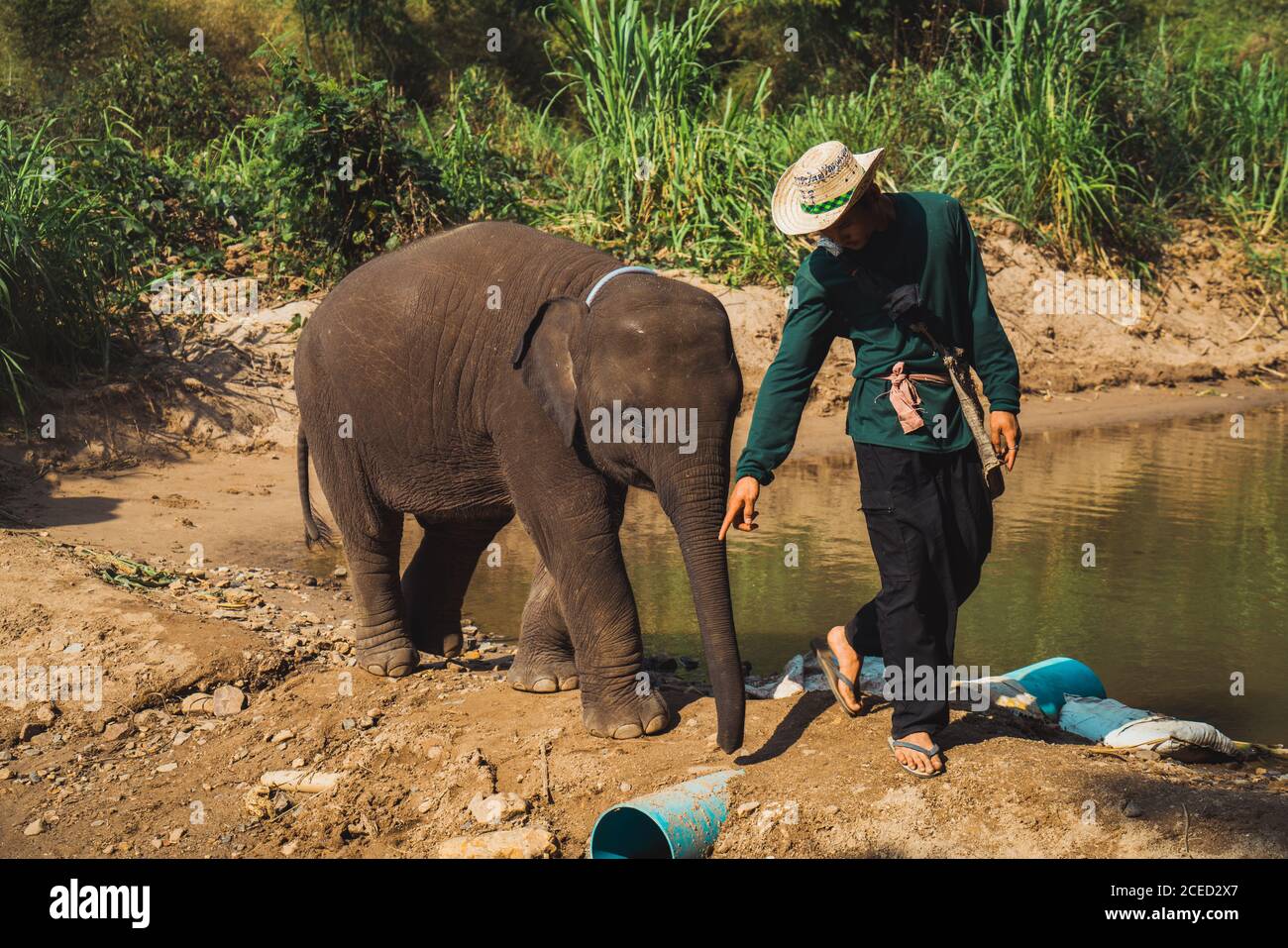 Man Elephant High Resolution Stock Photography and Images - Alamy