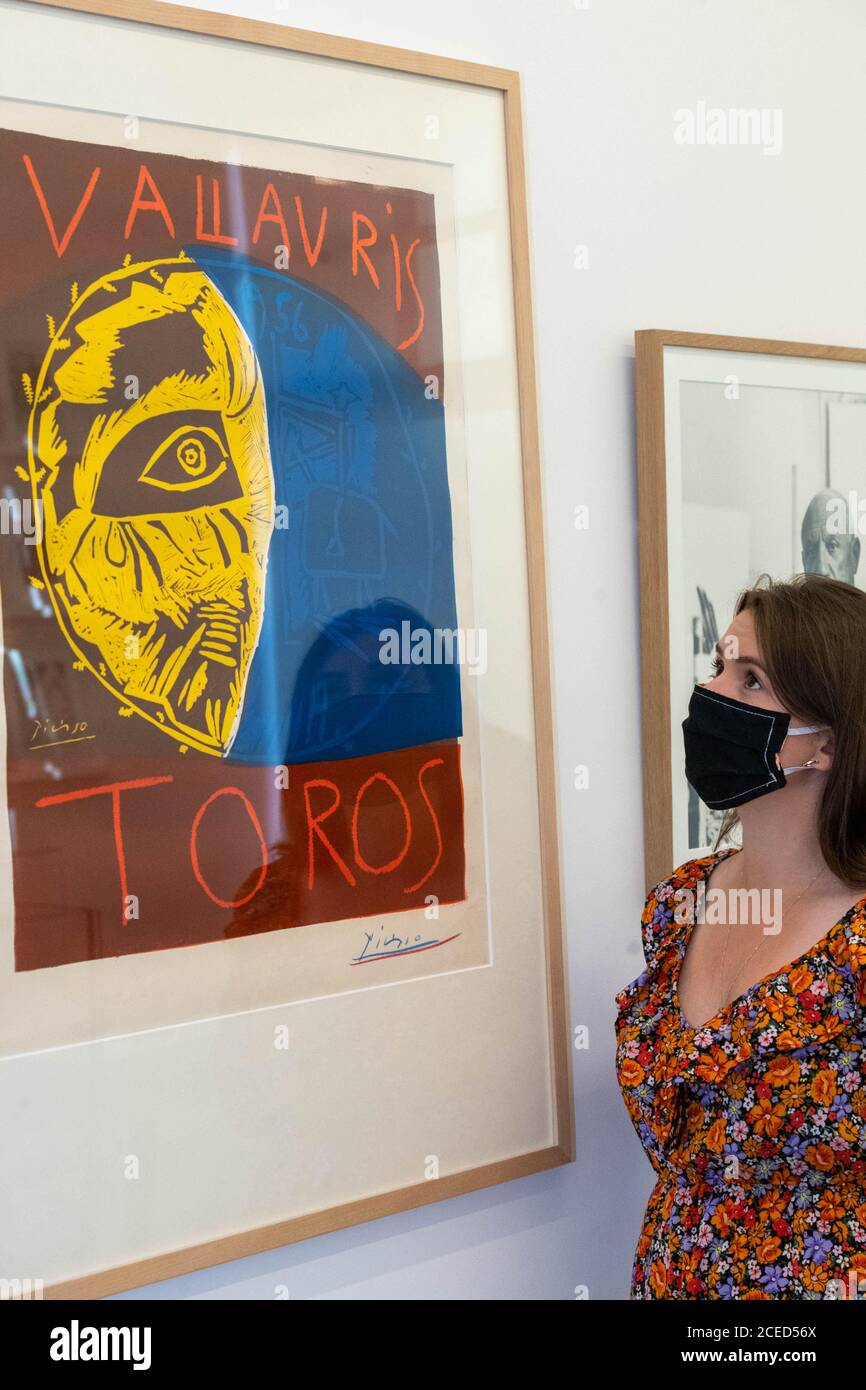 Picasso's hi-res stock photography and images - Alamy