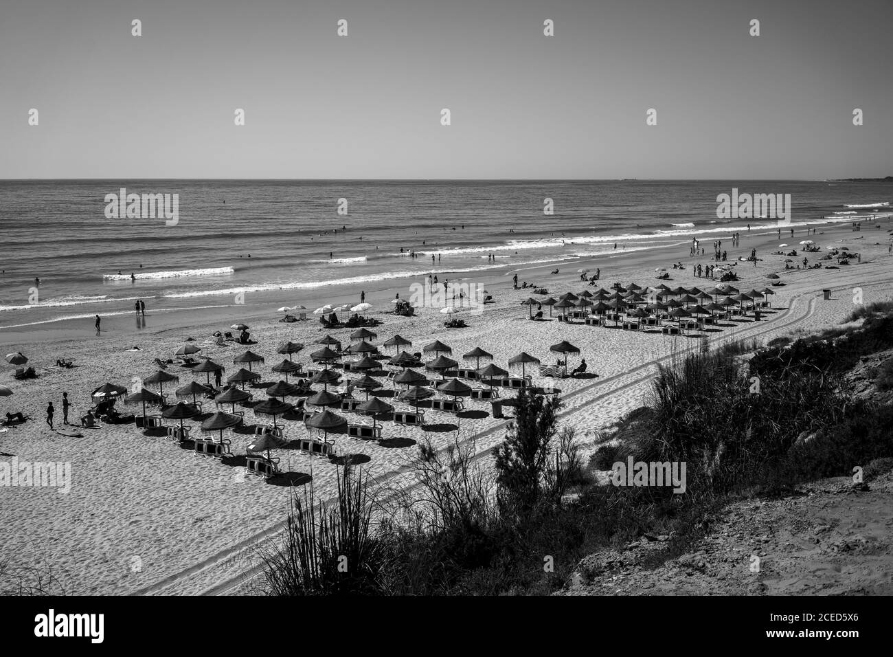 Grayscale shot of a beach Stock Photo - Alamy
