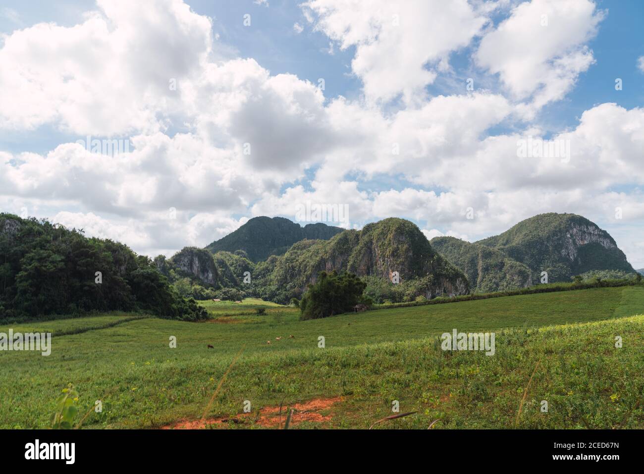 Lowland tropical fields hi-res stock photography and images - Alamy