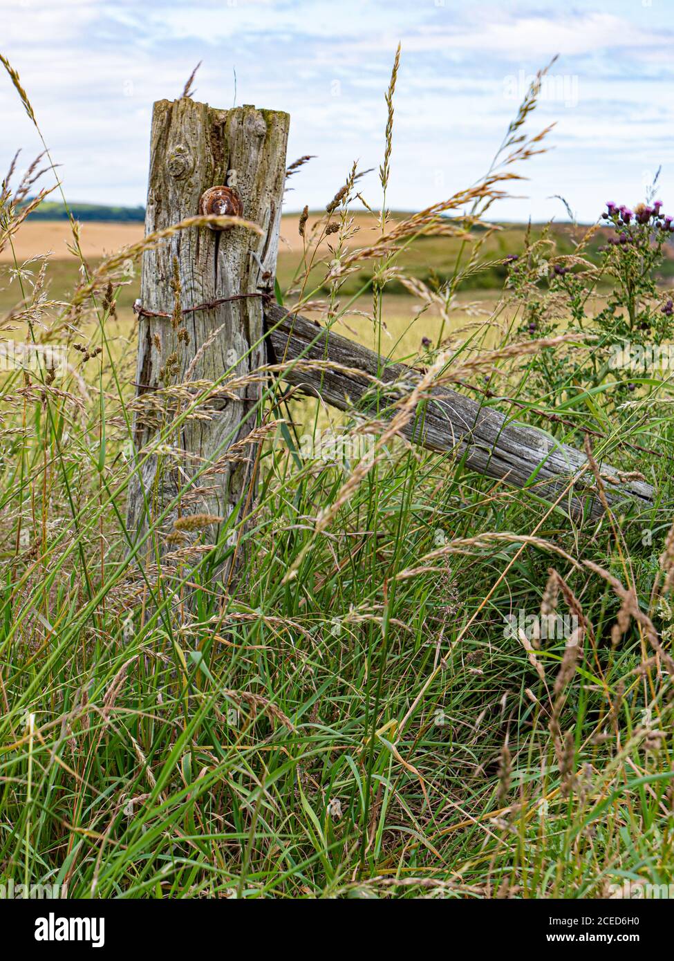 Wooden fence strut hi-res stock photography and images - Alamy
