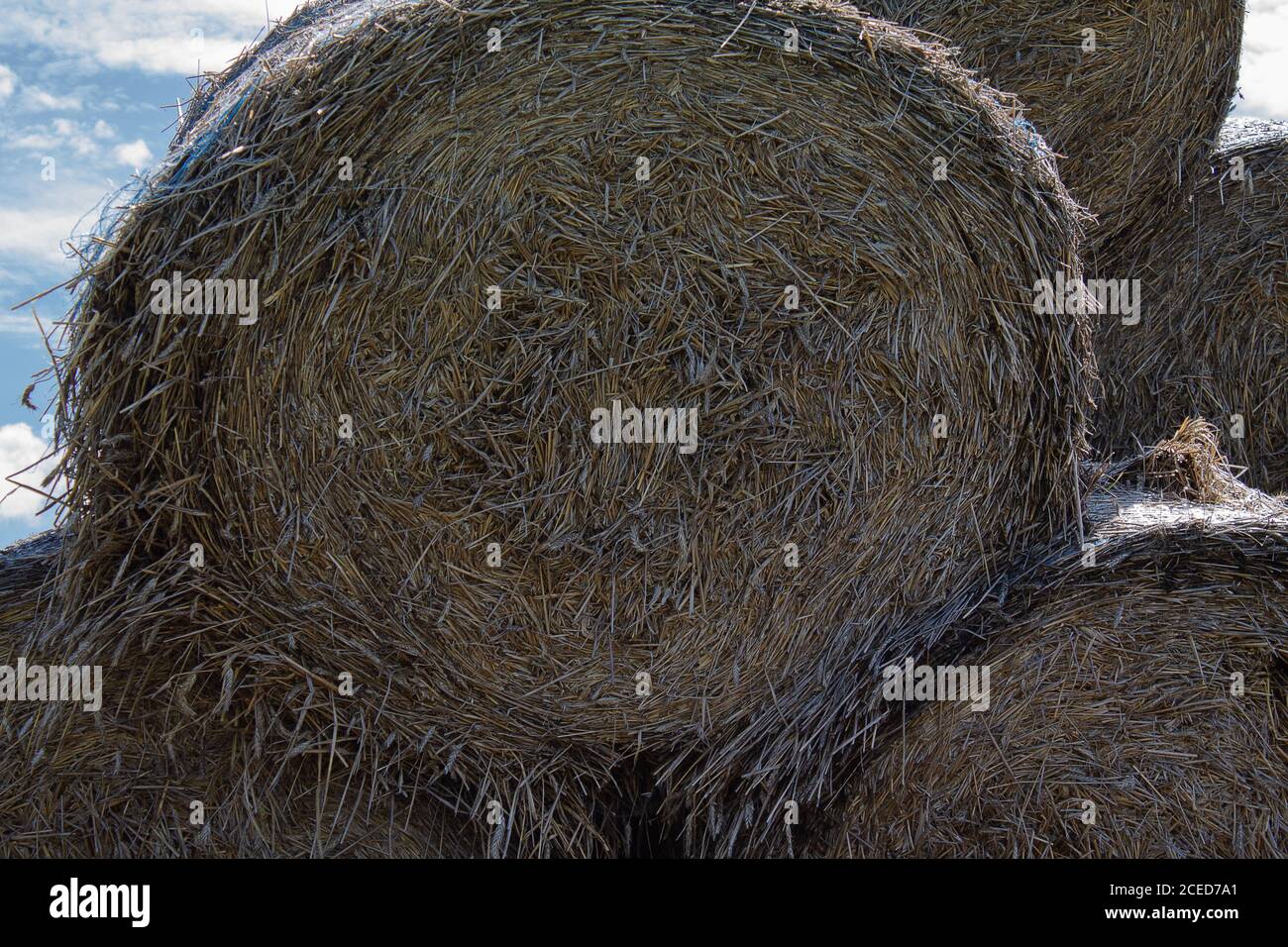 Texture of a round hay bale photographed from the front Stock Photo - Alamy