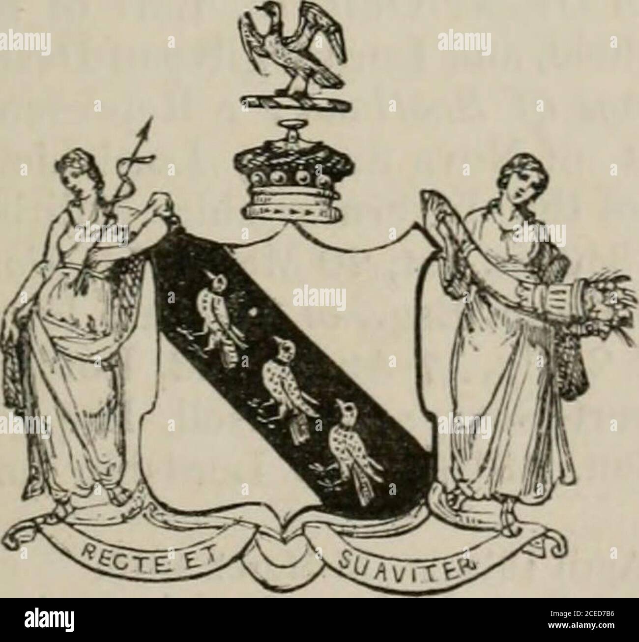 Lady adeliza hi-res stock photography and images - Alamy