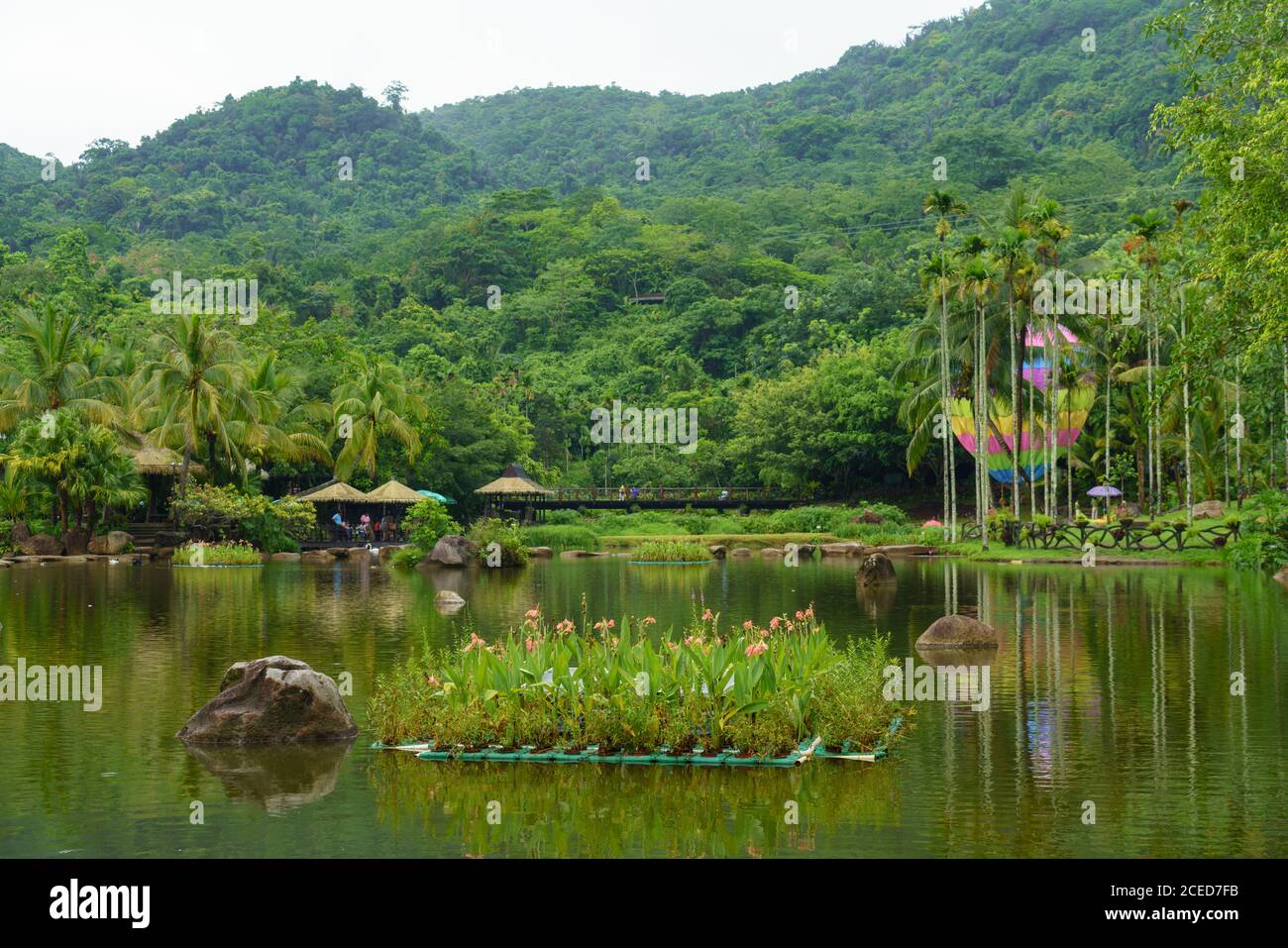 Landscape green calm lake yanoda rainforest lush tropical vegetation ...
