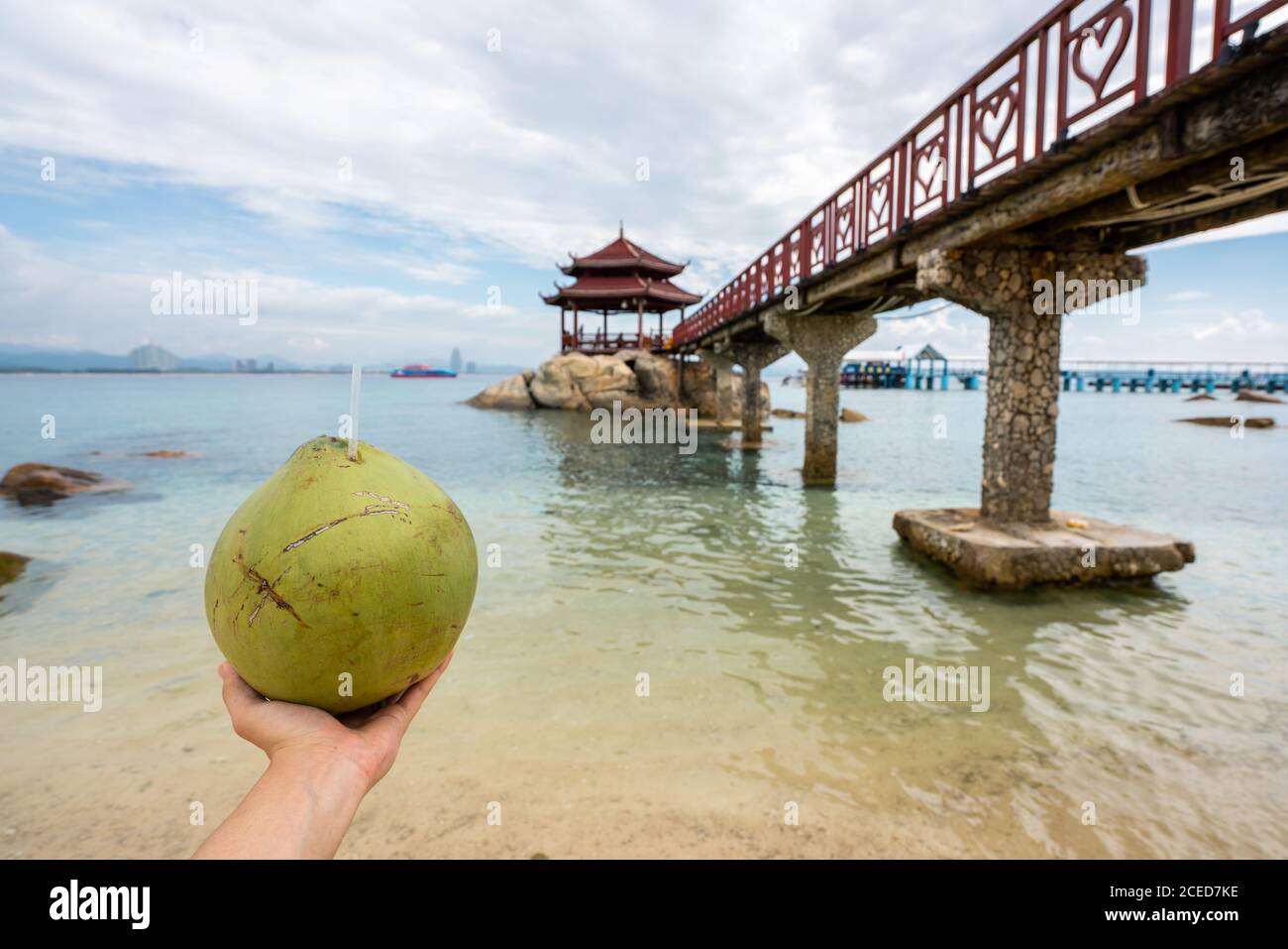Hand holding coconut on beach hi-res stock photography and images - Alamy