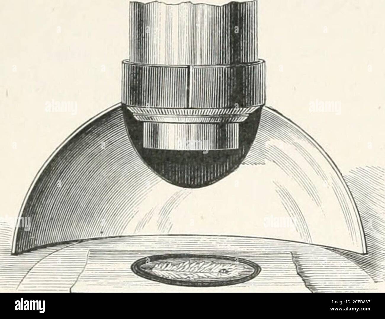 Speculum binocular hi-res stock photography and images - Alamy
