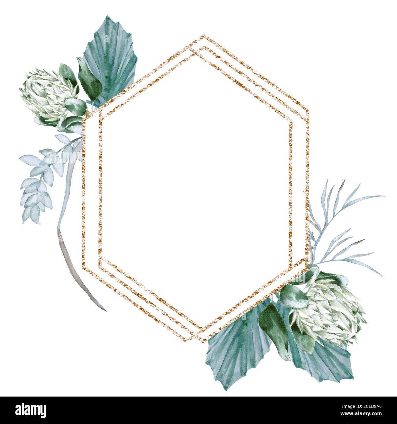 Australian flower illustration Cut Out Stock Images & Pictures - Alamy