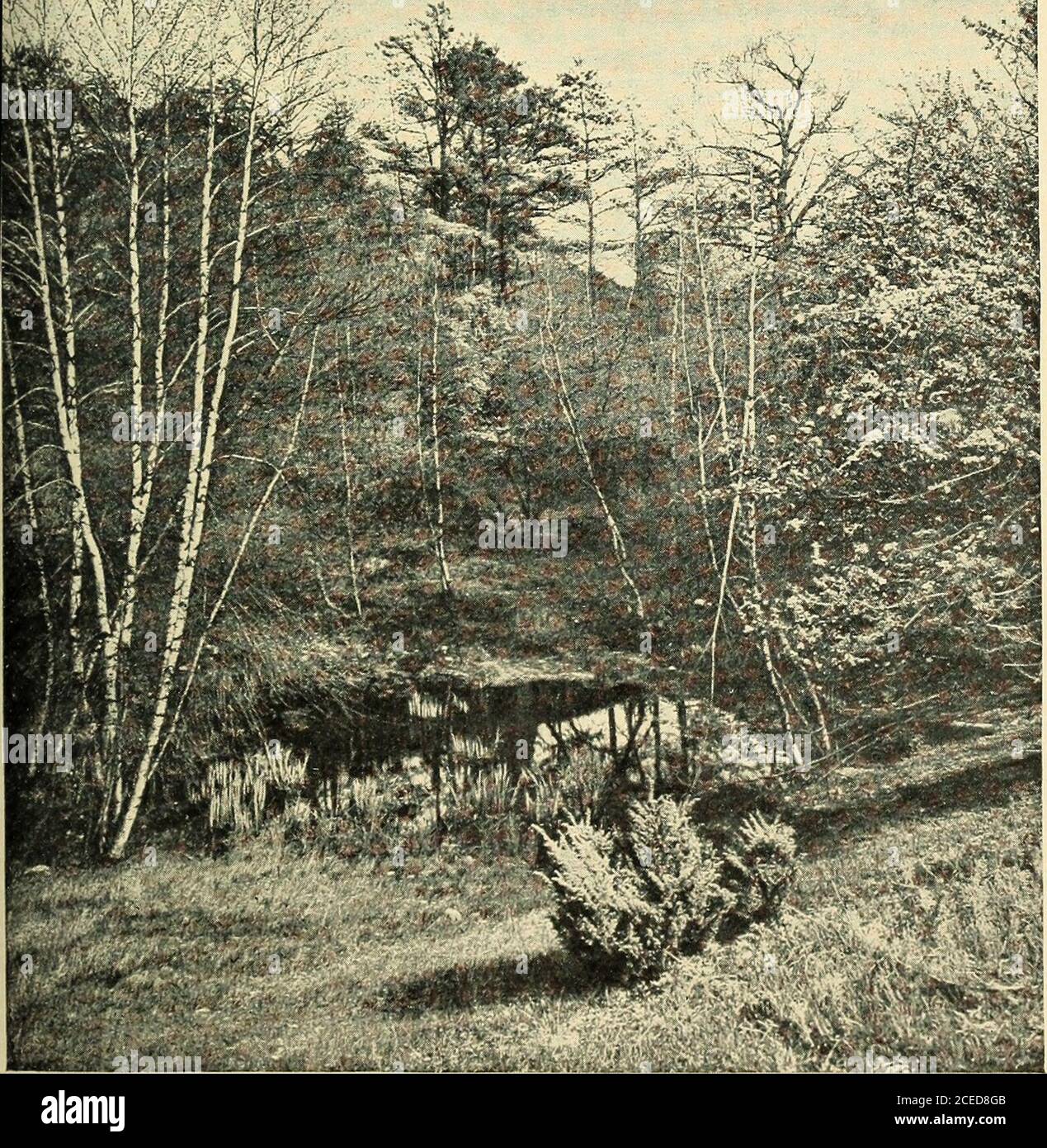 High bank earth works hi-res stock photography and images - Alamy