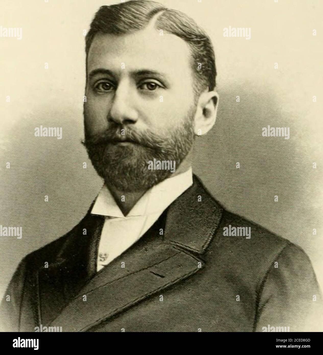 . New York state's prominent and progressive men Stock Photo - Alamy